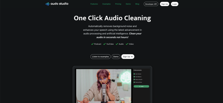 2024 年 Lalal.ai 测评